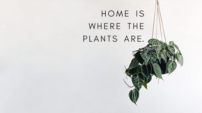 Free Botanical Spring Desktop Backgrounds | Fox + Hazel